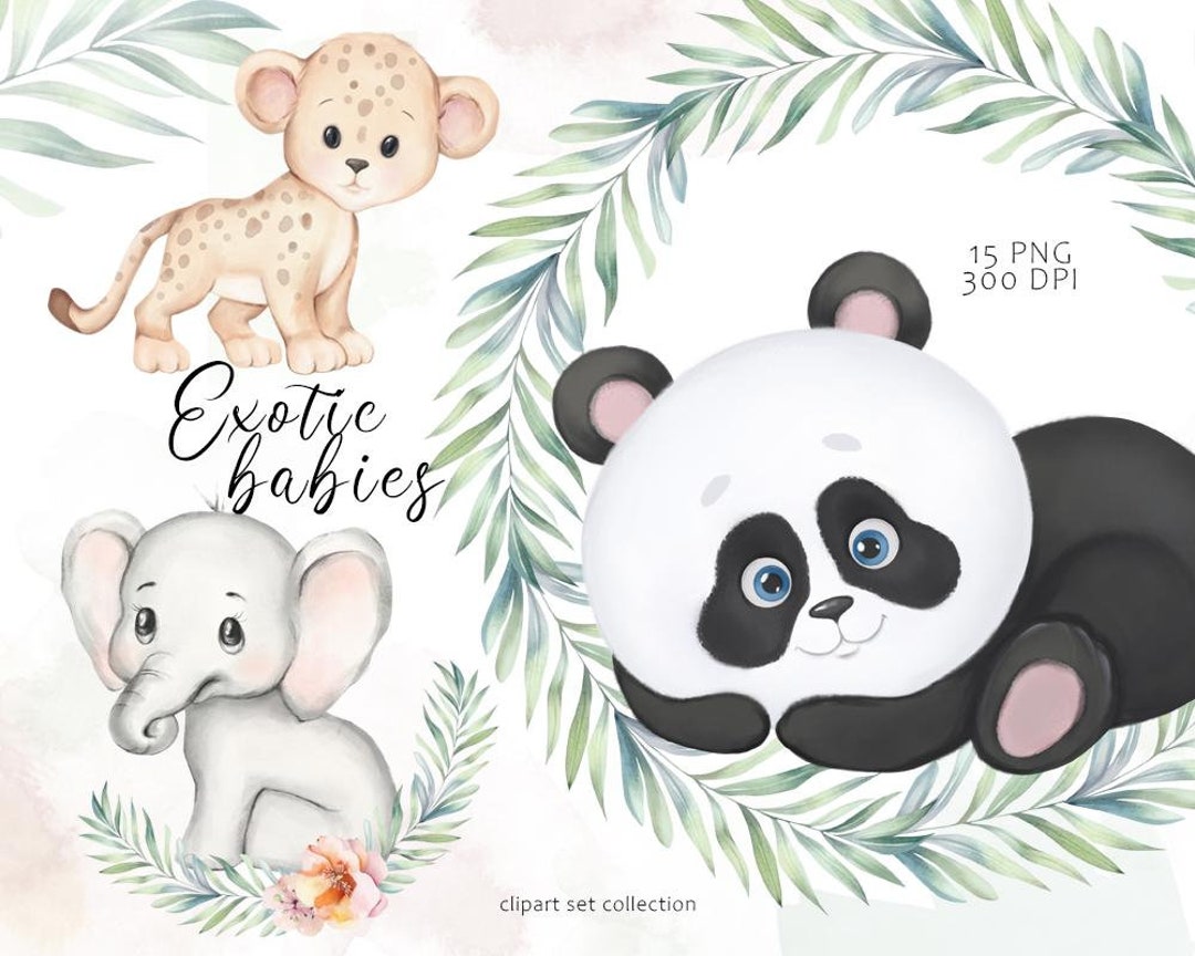Watercolor Baby Animals Clipart, Tropical Animals, Safari, Cute Jungle ...
