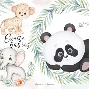 Watercolor Baby Animals Clipart, Tropical Animals, Safari, Cute Jungle ...