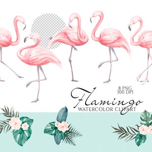 Watercolor Flamingo Clip Art, Tropical Birds Clipart, Watercolor Summer ...