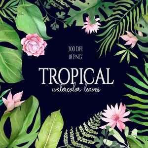 Tropical Foliage, Watercolor Leaves Clipart, Tropical Palm Leaf, Jungle ...