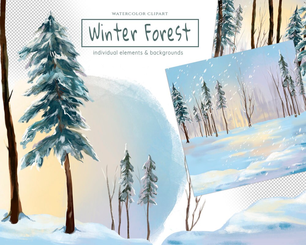 Winter Forest Clipart Woodland Landscape Pine Tree Clipart - Etsy