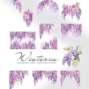 Watercolor Wisteria Clipart, Purple Pink & Blue Wisteria Flowers ...