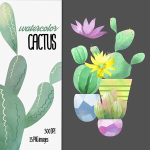 Watercolor Cactus Clipart, Tropical Succulent, Potted Plants, Botanical ...