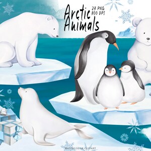 Arctic Animals Clipart, Watercolor Winter Animals, Baby Shower, Walrus ...