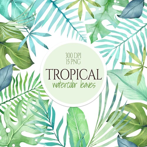 Tropical Leaves Clipart Green Palm Leaves Monstera Leaf Png - Etsy