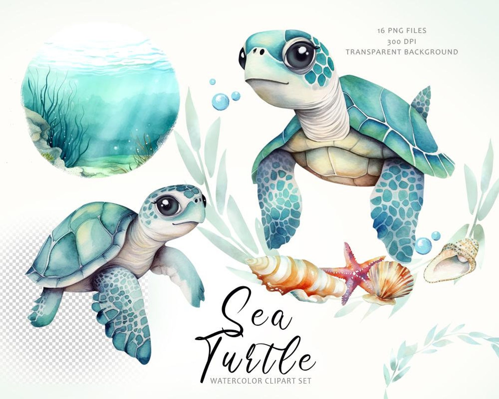Watercolor Sea Turtle Clipart: Ocean Nursery PNG (digital Download) - Etsy