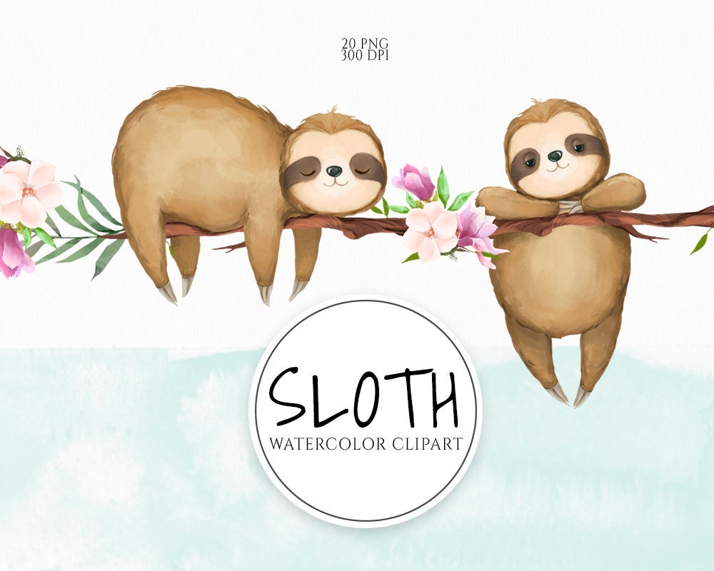 Watercolor Sloth Baby Sloth Clipart Little Animals Cute - Etsy