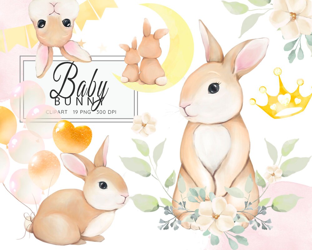 Cute Baby Bunny Clipart