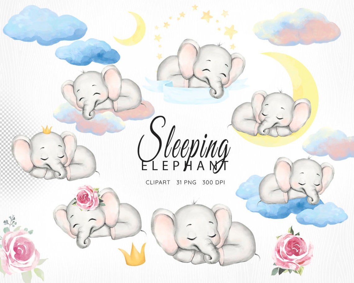 Sleeping Elephant Clipart Baby Animals Watercolor Elephant | Etsy
