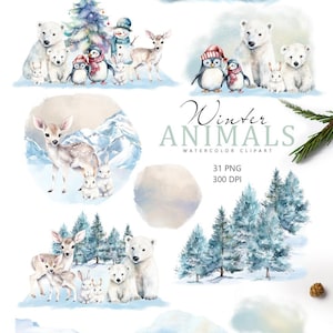 Watercolor Winter Animals Clipart, Arctic Animals Clipart, Polar ...