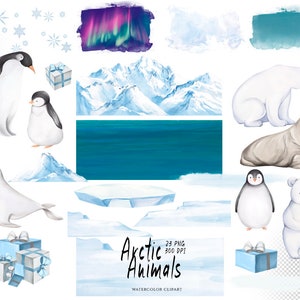 Arctic Animals Clipart, Watercolor Winter Animals, Baby Shower, Walrus ...
