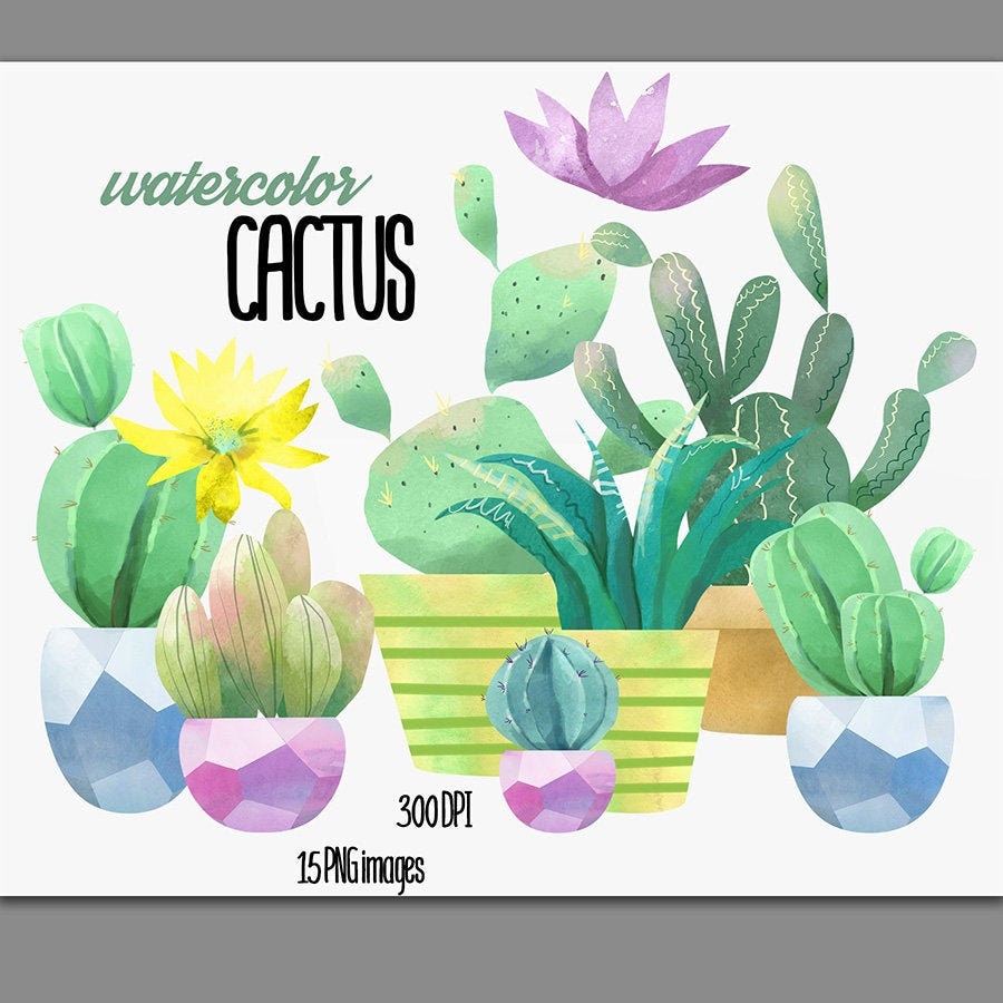 Watercolor Cactus Clipart Tropical Succulent Potted Plants | Etsy