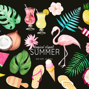 Tropical Clipart, Watercolor Summer, Palm Leaves Clipart, Tropical ...