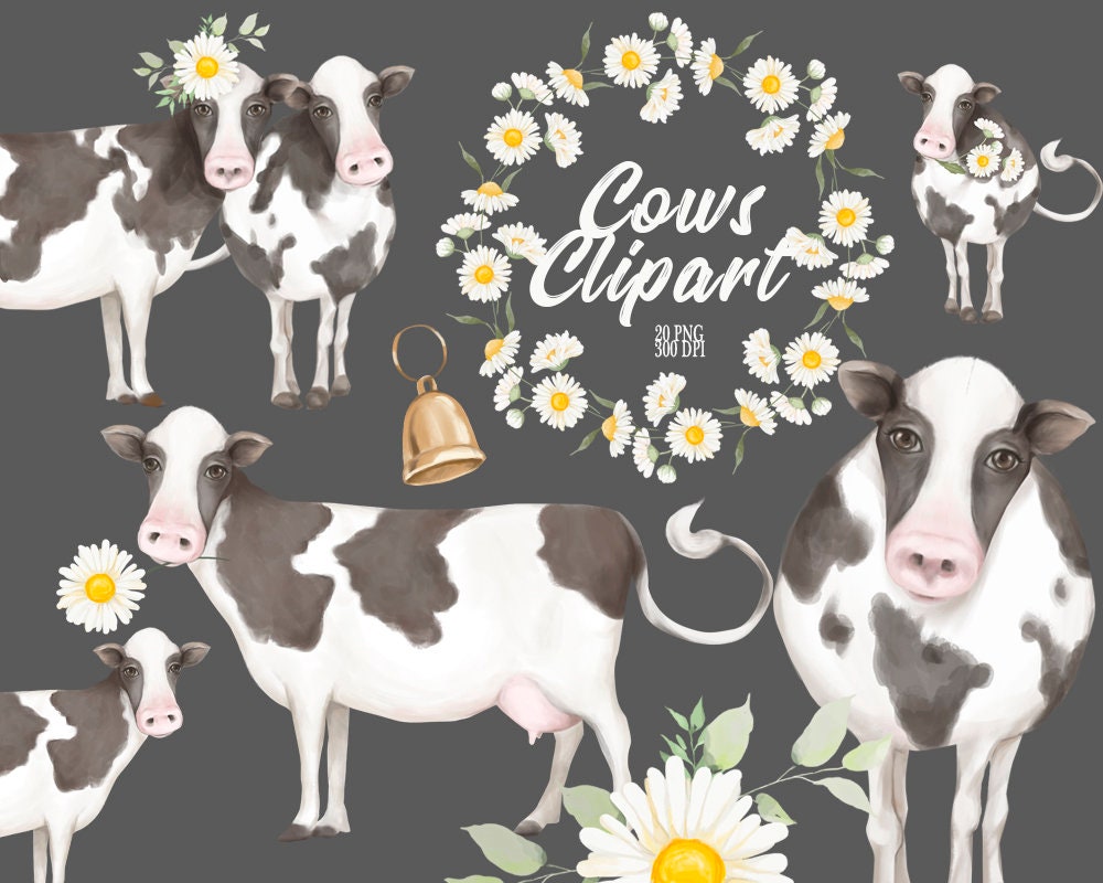 Watercolor Cow Clipart Watercolor Heifer Cute Cows Clip Art | Etsy