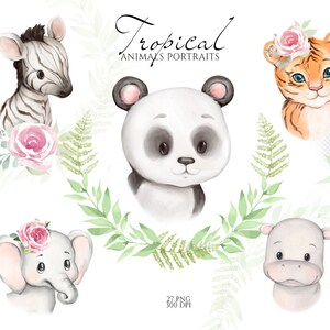 Watercolor Tropical Animals Clipart, Jungle Baby Elephant, Cute Panda ...