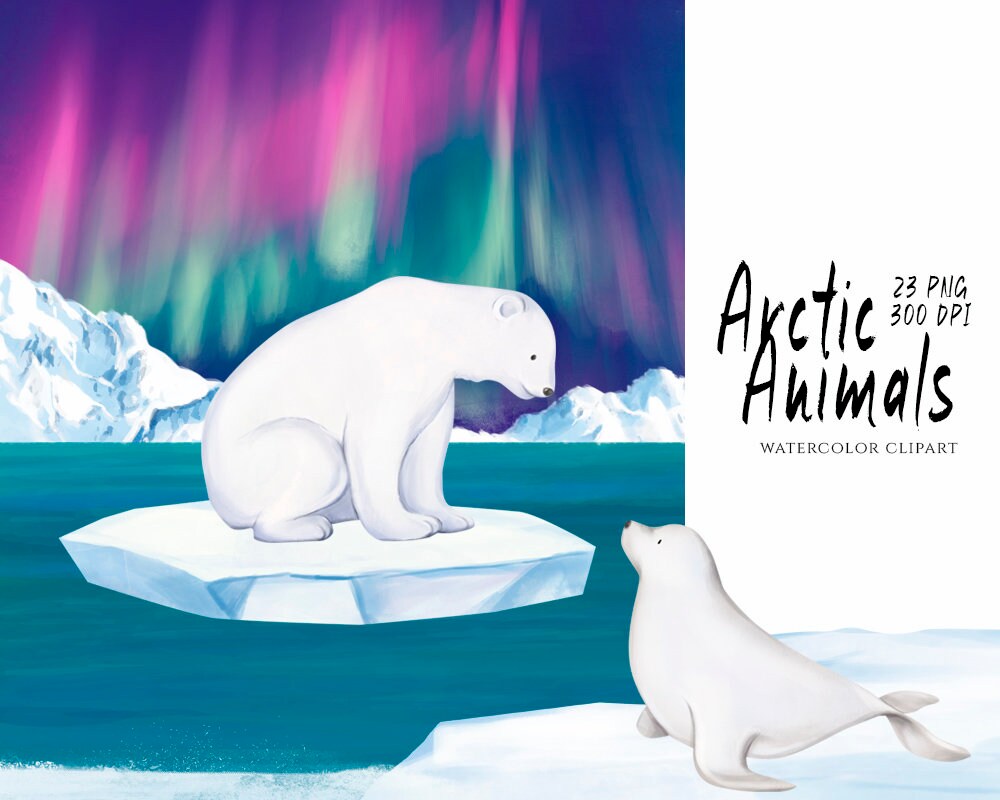 Arctic Animals Clipart, Watercolor Winter Animals, Baby Shower, Walrus ...