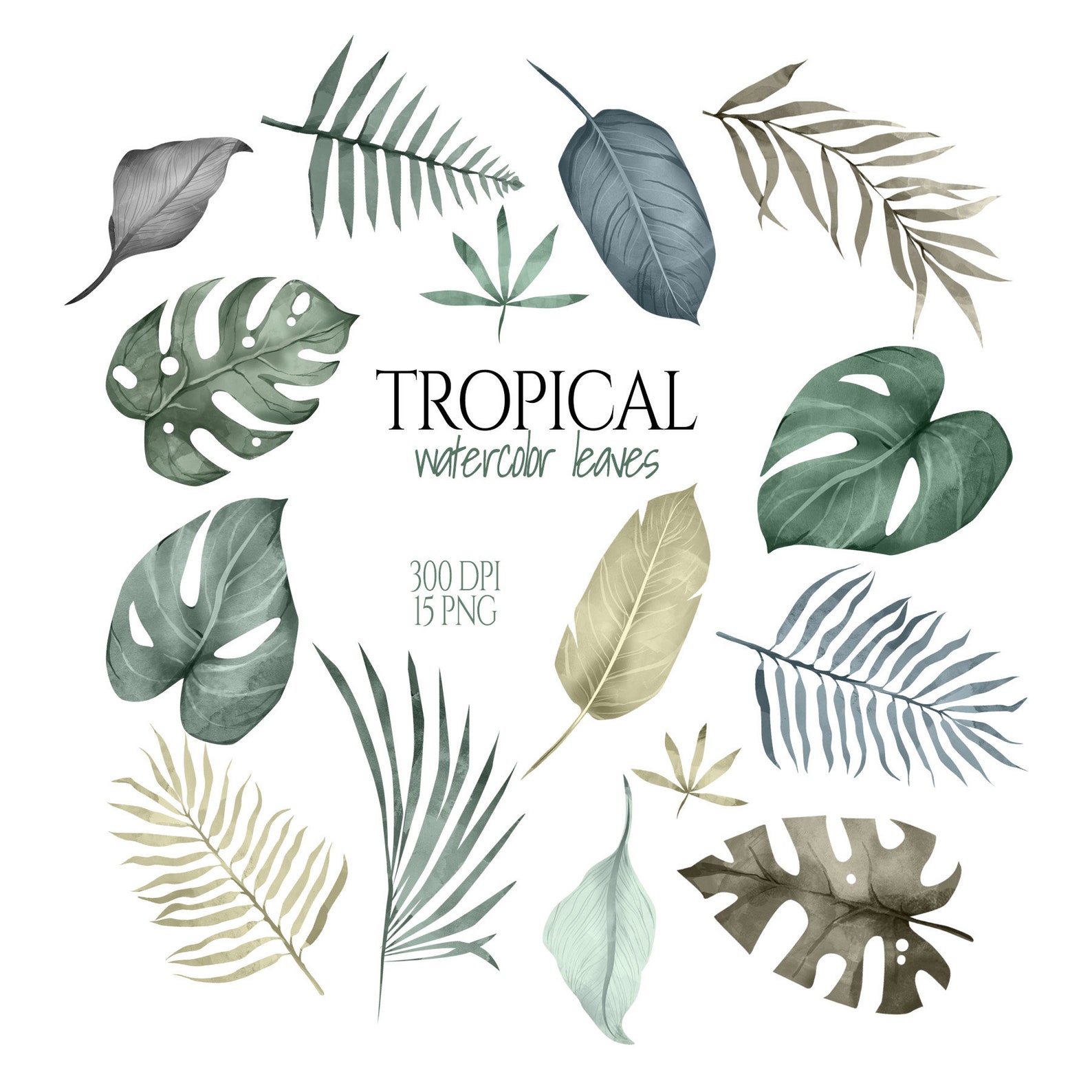 Watercolor Leaves Clipart Tropical Leaves Clip Art Exotic - Etsy