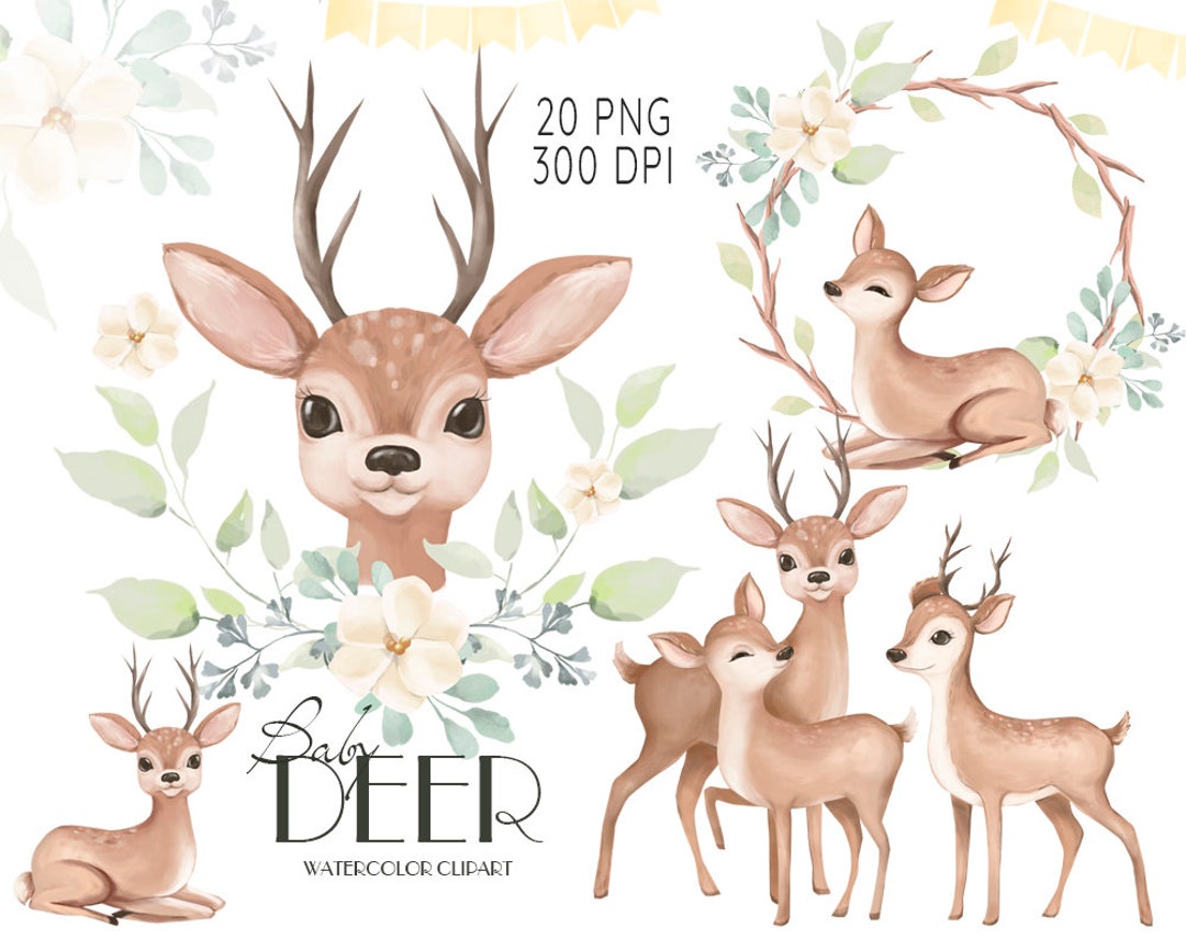 Watercolor Deer, Baby Deer Clipart, Watercolor Little Animals, Cute ...