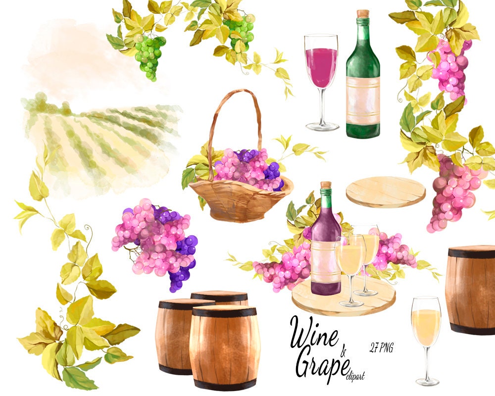 Watercolor Wine Clipart Grapes Clip Art Wine Country | Etsy