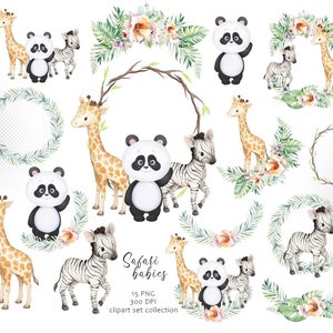 Watercolor Tropical Animals Clipart, Jungle Animals Clipart, Cute ...