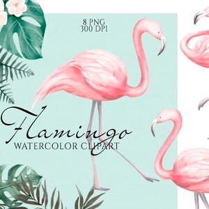 Watercolor Flamingo Clip Art, Tropical Birds Clipart, Watercolor Summer ...