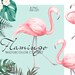 Watercolor Flamingo Clip Art, Tropical Birds Clipart, Watercolor Summer ...
