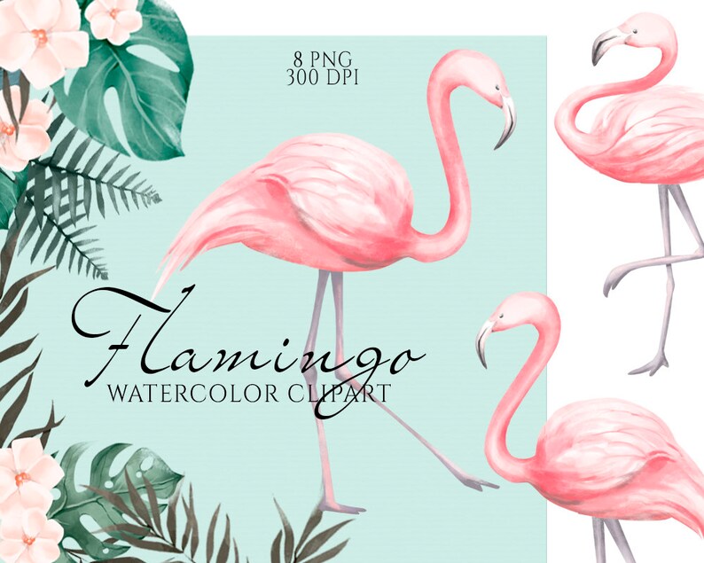 Watercolor Flamingo Clip Art Tropical Birds Clipart - Etsy