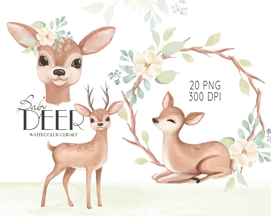 Watercolor Deer Baby Deer Clipart Watercolor Little Animals - Etsy