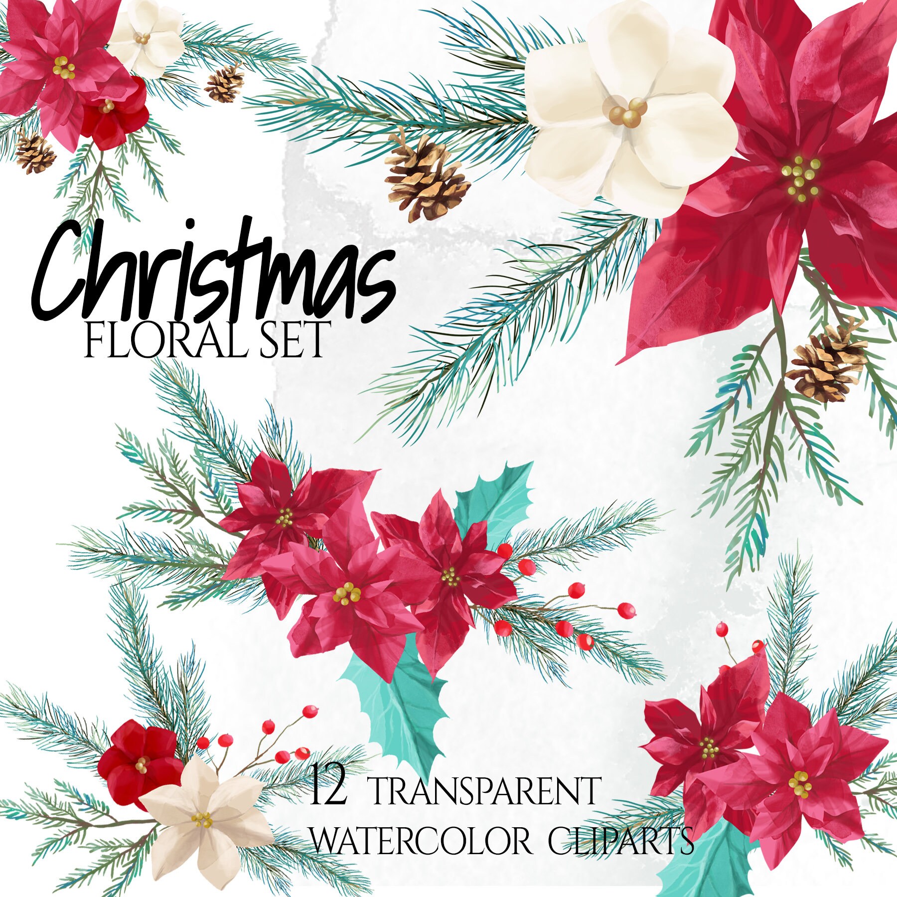 Poinsettia Clipart, Watercolor Holiday Clipart, Winter Flowers Clipart ...