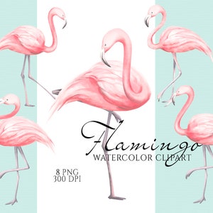 Watercolor Flamingo Clip Art, Tropical Birds Clipart, Watercolor Summer ...