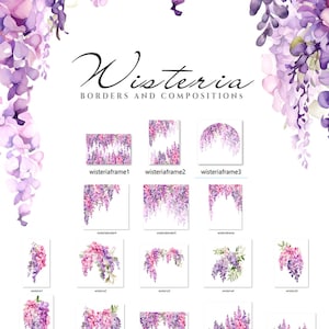 Watercolor Wisteria Clipart, Purple Pink & Blue Wisteria Flowers ...