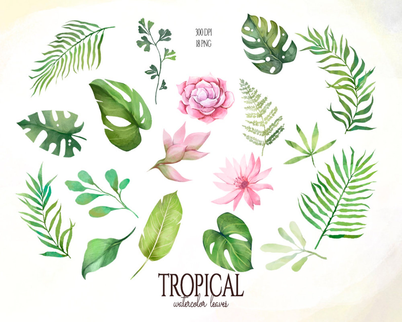 Tropical Foliage, Watercolor Leaves Clipart, Tropical Palm Leaf, Jungle ...