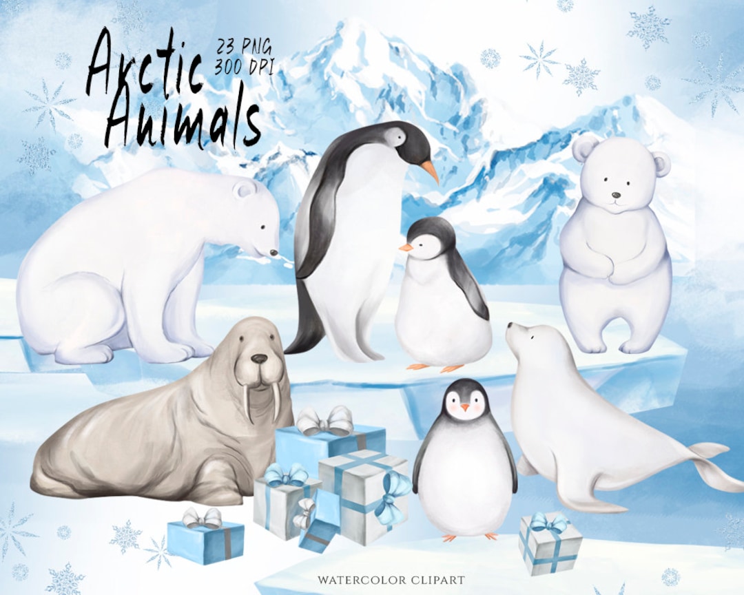 Arctic Animals Clipart, Watercolor Winter Animals, Baby Shower, Walrus ...