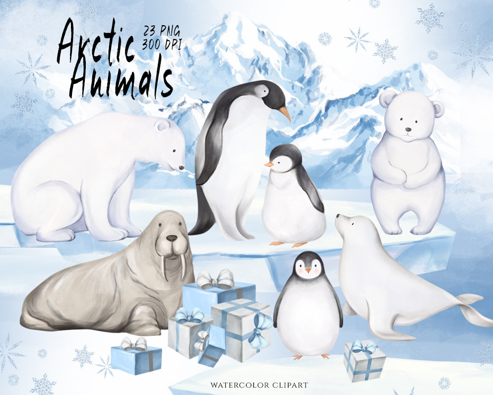 Arctic Animals Clipart Watercolor Winter Animals Baby - Etsy