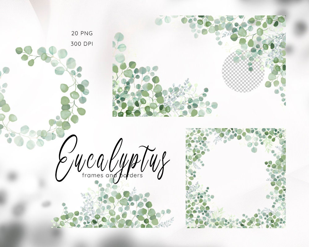 Eucalyptus Frames Clipart Watercolor Greenery Wreath Clip | Etsy