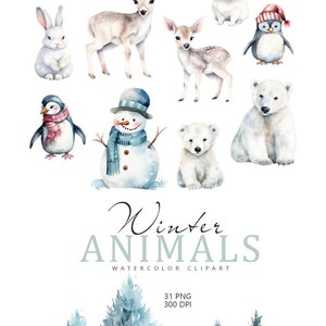 Watercolor Winter Animals Clipart, Arctic Animals Clipart, Polar ...