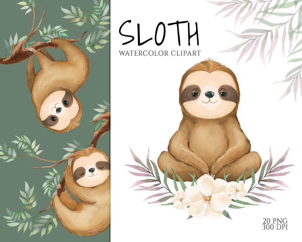 Watercolor Sloth, Baby Sloth Clipart, Little Animals, Cute Sloth, Baby ...