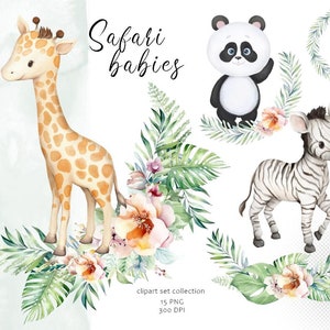 Watercolor Tropical Animals Clipart, Jungle Animals Clipart, Cute ...