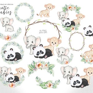Watercolor Baby Animals Clipart, Tropical Animals, Safari, Cute Jungle ...