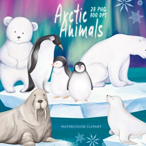 Arctic Animals Clipart, Watercolor Winter Animals, Baby Shower, Walrus ...