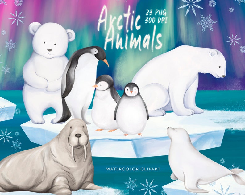 Arctic Animals Clipart Watercolor Winter Animals Baby - Etsy