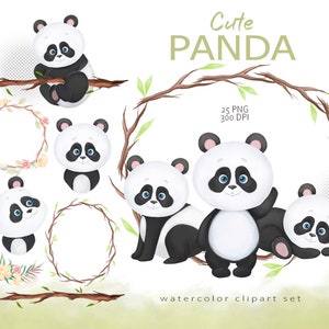 Baby Panda Clipart, Tropical Animals, Watercolor Panda, Nursery Clip ...