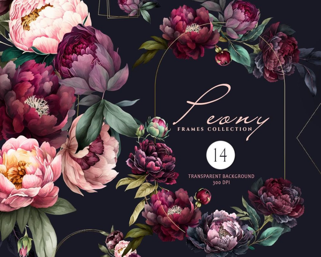 Watercolor Floral Clipart, Purple Peonies Clipart, Boho Flowers Clipart ...