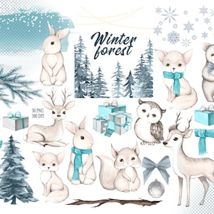 Woodland Winter Animals Clipart, Watercolor Christmas Animal, White ...