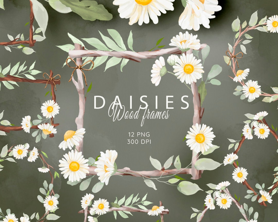 Watercolor Daisy Clipart, Wood Frames, Watercolor Wild Flowers ...