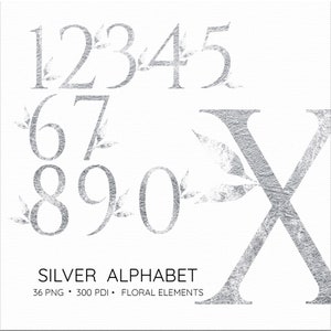 Silver Glitter Alphabet, Floral Alphabet, Silver Letters Clipart ...