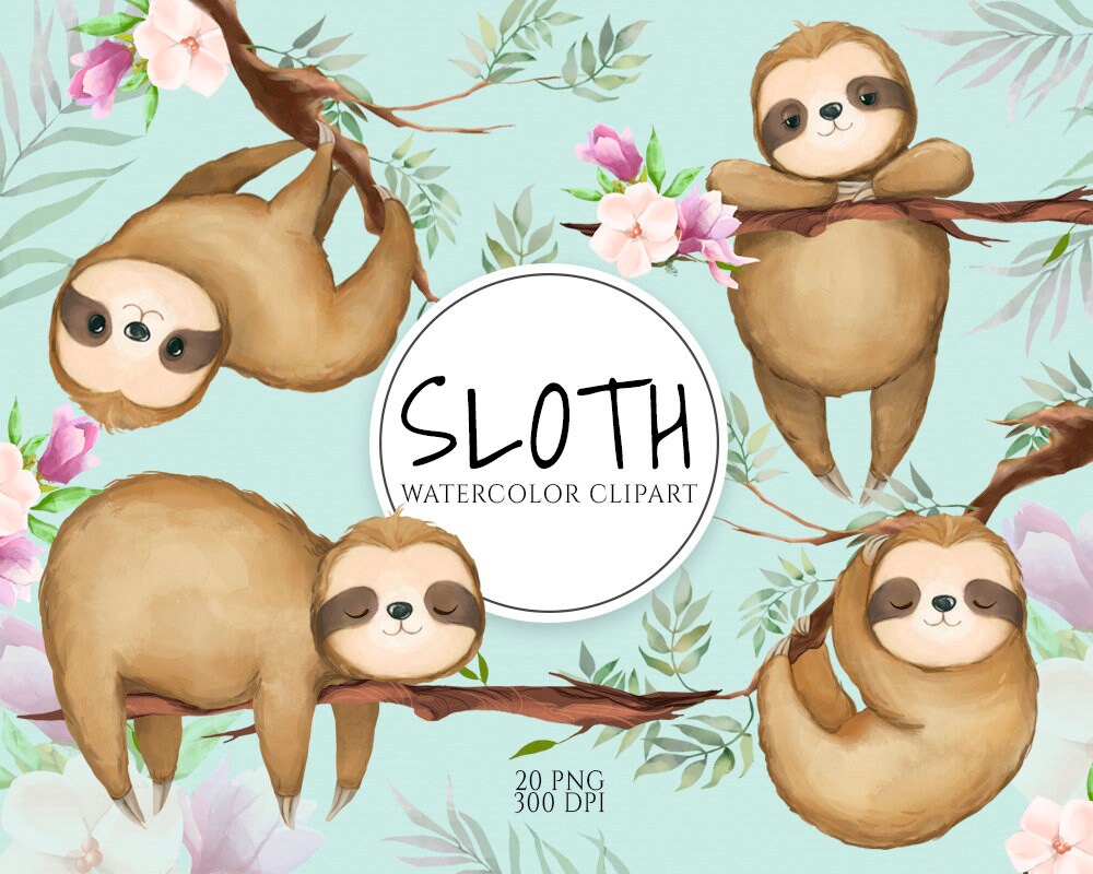 Watercolor Sloth, Baby Sloth Clipart, Little Animals, Cute Sloth, Baby ...