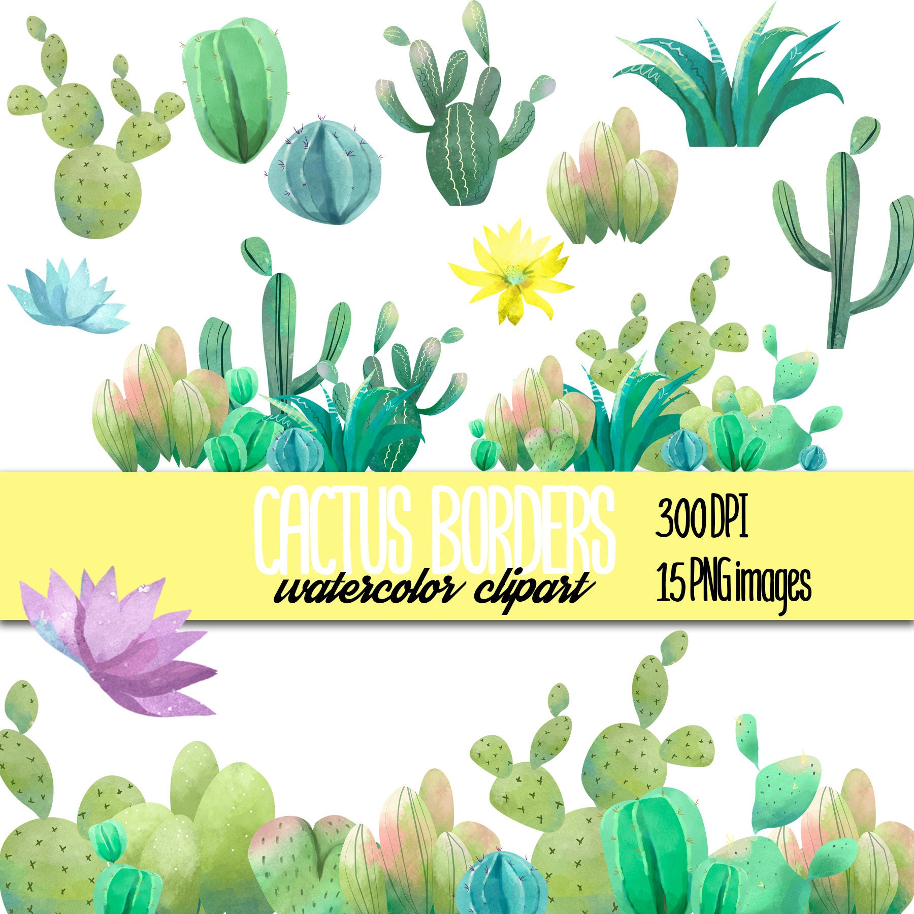 Cactus Borders Clipart Watercolor Cacti Tropical Succulents | Etsy