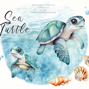 Watercolor Sea Turtle Clipart: Ocean Nursery PNG (digital Download) - Etsy