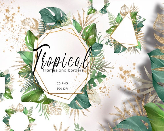 Tropical Borders And Frames